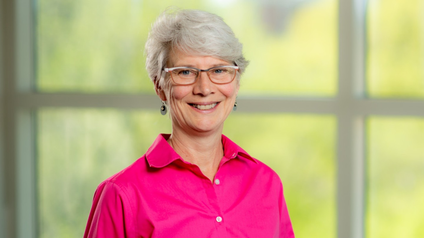Theresa Shireman appointed Director of the Center for Gerontology ...